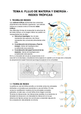 TEMA-6-FLUJO-DE-MATERIA-Y-ENERGIA-REDES-TROFICAS.pdf