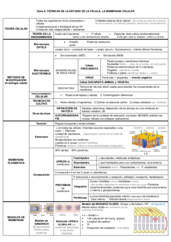 Esquema-tema-6-TECNICAS-DE-ESTUDIO-DE-LA-CELULA.pdf