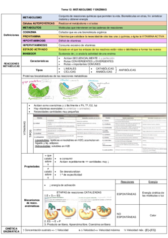 Esquema-tema-12-METABOLISMO-Y-ENZIMAS.pdf