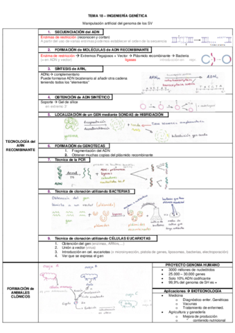 Esquema-tema-18-INGENIERIA-GENETICA.pdf