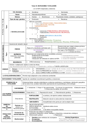 Esquema-Tema-19-MUTACIONES-Y-EVOLUCION.pdf