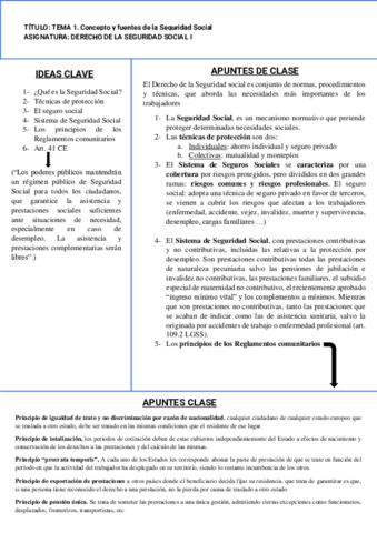 IDEAS-CLAVE-TEMA-1-SS.pdf