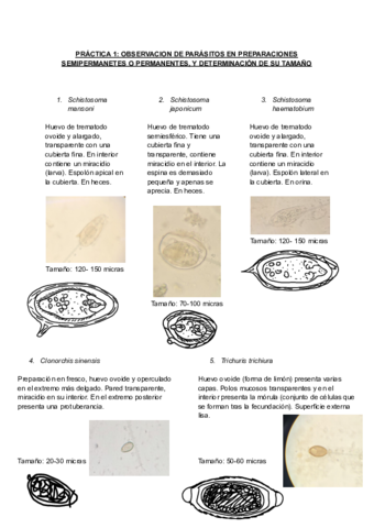 Cuaderno-resumen-practicas-MPC.pdf