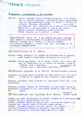 Tema 6. Procesos Psicológicos Básicos.pdf