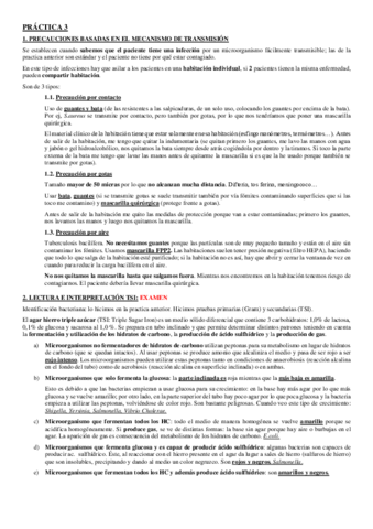 PRACTICA-3.pdf
