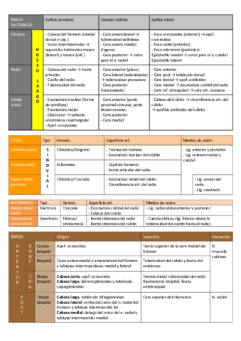 Apuntes de Econ 119 – Psychology and Economics