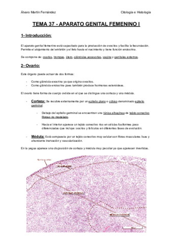 TEMA-37-APARATO-GENITAL-FEMENINO-I.pdf