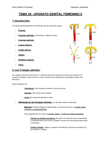 TEMA-38-APARATO-GENITAL-FEMENINO-II.pdf