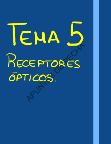 Tema-5-Receptores-Opticos.pdf