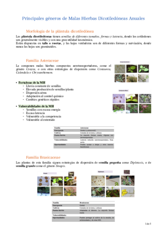 Tema-8-Principales-Generos-de-MH-Dicotiledoneas-Anuales.pdf