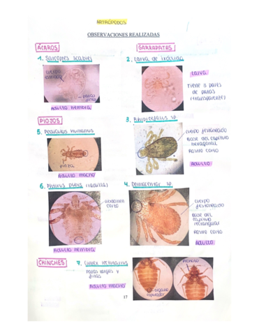 IMAGENES-PRACTICAS-PARASITOLOGIA.pdf