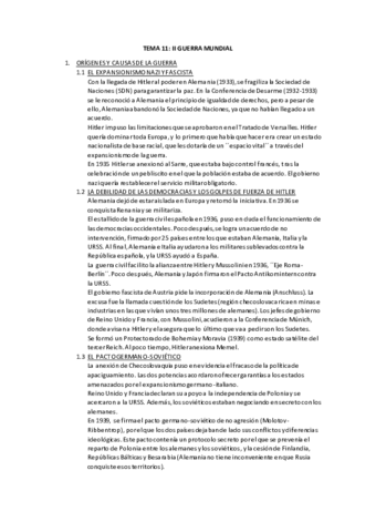 TEMA-11.pdf