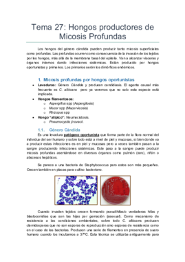 Tema 27.pdf