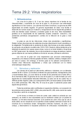 Tema 29.2 sem.pdf