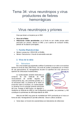 Tema 34.pdf