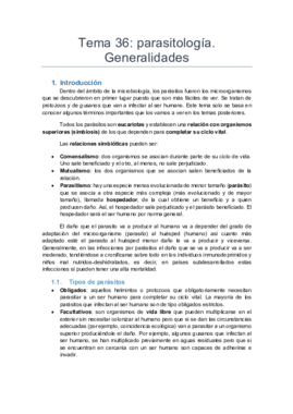 Tema 36.pdf