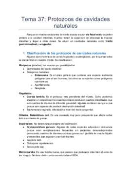 Tema 37.pdf