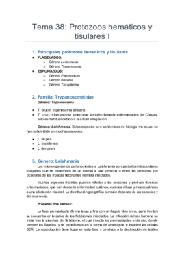 Tema 38.pdf