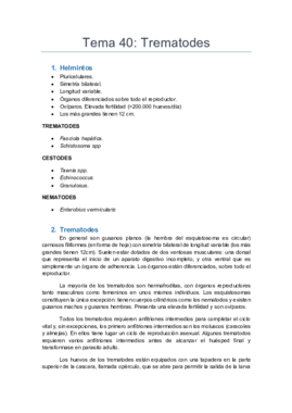 Tema 40.pdf