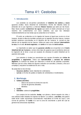 Tema 41.pdf