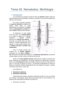 Tema 42.pdf