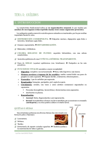Zoologia-Tema-8-Filo-Anelidos.pdf