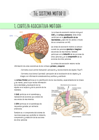 SISTEMA-MOTOR-II.pdf