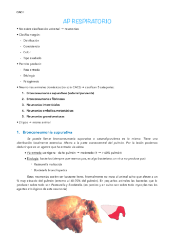 CM-AP-Respiratorio.pdf