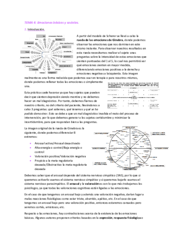 TEMA-2B.pdf