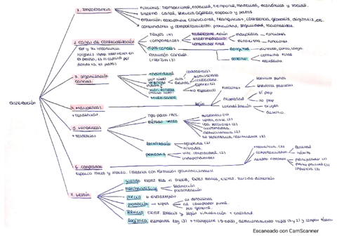 ESQUEMAS-ASIGNATURA-ENTERA.pdf