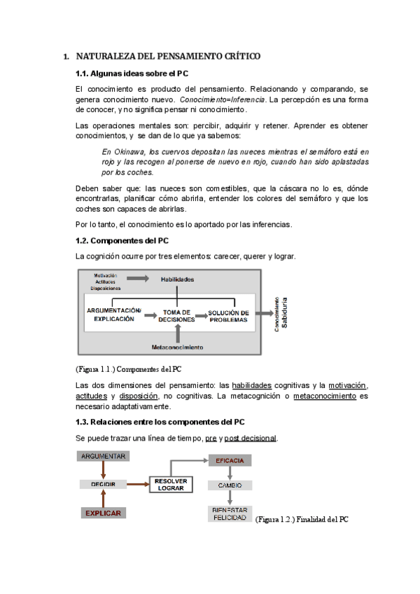 Pensamiento-Critico-y-Eficacia-resumen.pdf