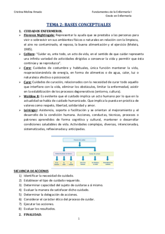 TEMA-2-BASES-CONCEPTUALES.pdf