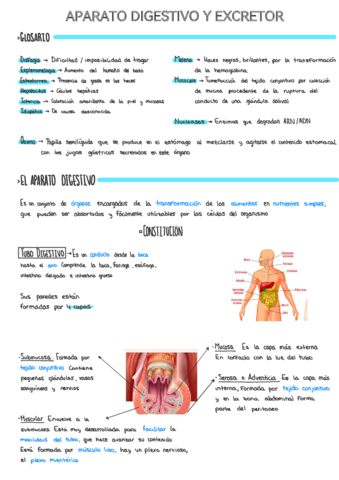 Aparato-digestivo-y-excretor.pdf
