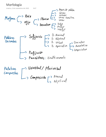 Morfologia.pdf