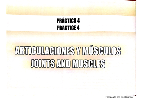 PRACTICA-4-APS.pdf