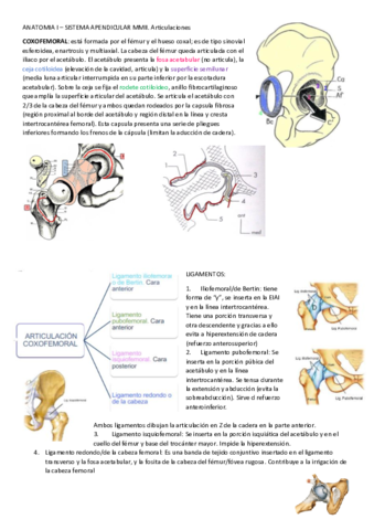 ANATOMIA-I-SISTEMA-OSEO-APENDICULAR-MMII.pdf