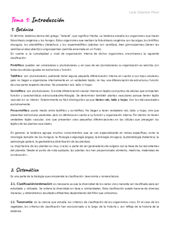Tema-1-Introduccion.pdf