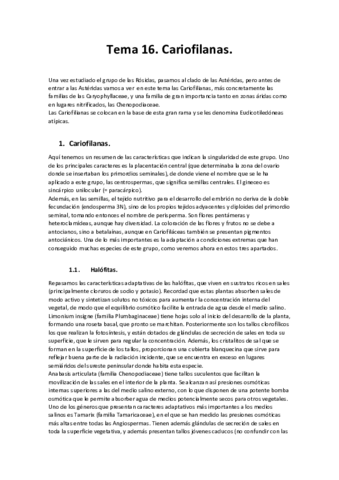 Tema-16.pdf