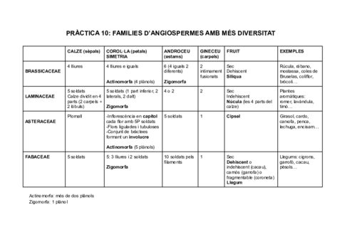 PRACTICA-10-BOT-1.pdf