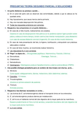 PREGUNTAS-TEORIA-SEGUNDO-PARCIAL-II-SOLUCIONES.pdf