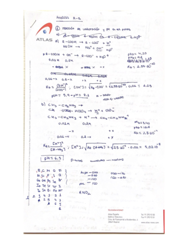 H11-y-12-acido-base-y-complejos.pdf