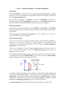 Tema 5 - Pigmentos transp. electro y fotofosforilación.pdf