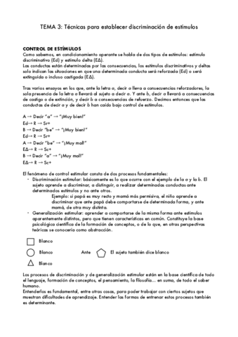 Tema-3-Tecnicas.pdf