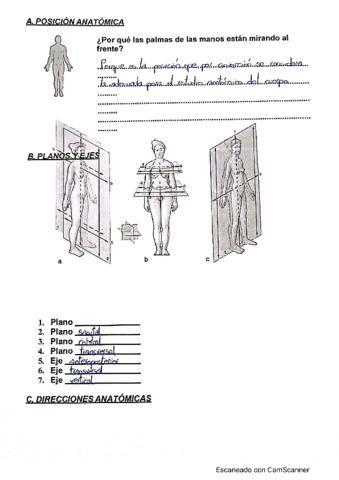 Cuaderno-de-practicas-modulos-practicos-1-a-3-Anatomia-Humana.pdf