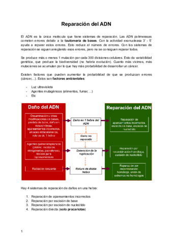 Tema-7c-Reparacion-del-ADN.pdf