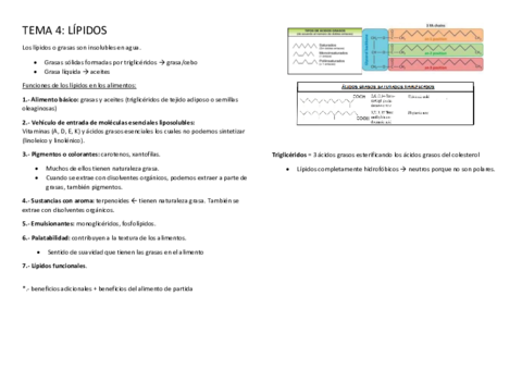 TEMA-4-LIPIDOS-QBA.pdf