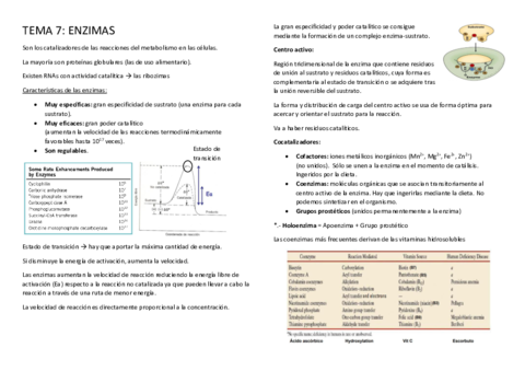 TEMA-7-QBA-ENZIMAS.pdf