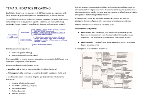 TEMA-3-HIDRATOS-DE-CARBONO-QBA.pdf