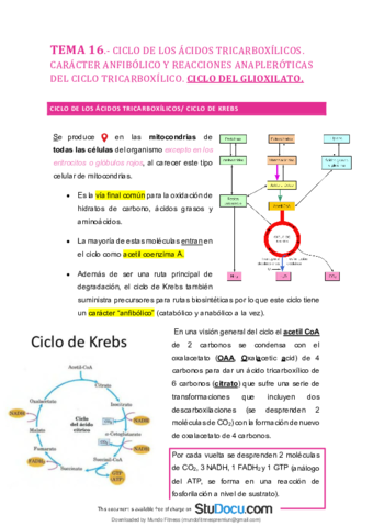 TEMA-4-Ciclo-DE-Krebs-Ciclo-DE-LOS-Acidos-Tricarboxilicos.pdf