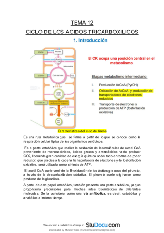 TEMA-4-Ciclo-DE-Krebs-Ciclo-DE-LOS-Acidos-Tricarboxilicos.pdf